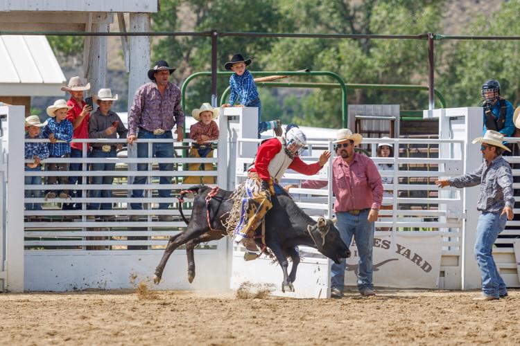 Junior rodeo and pee-wee division shows off the younger class | News ...
