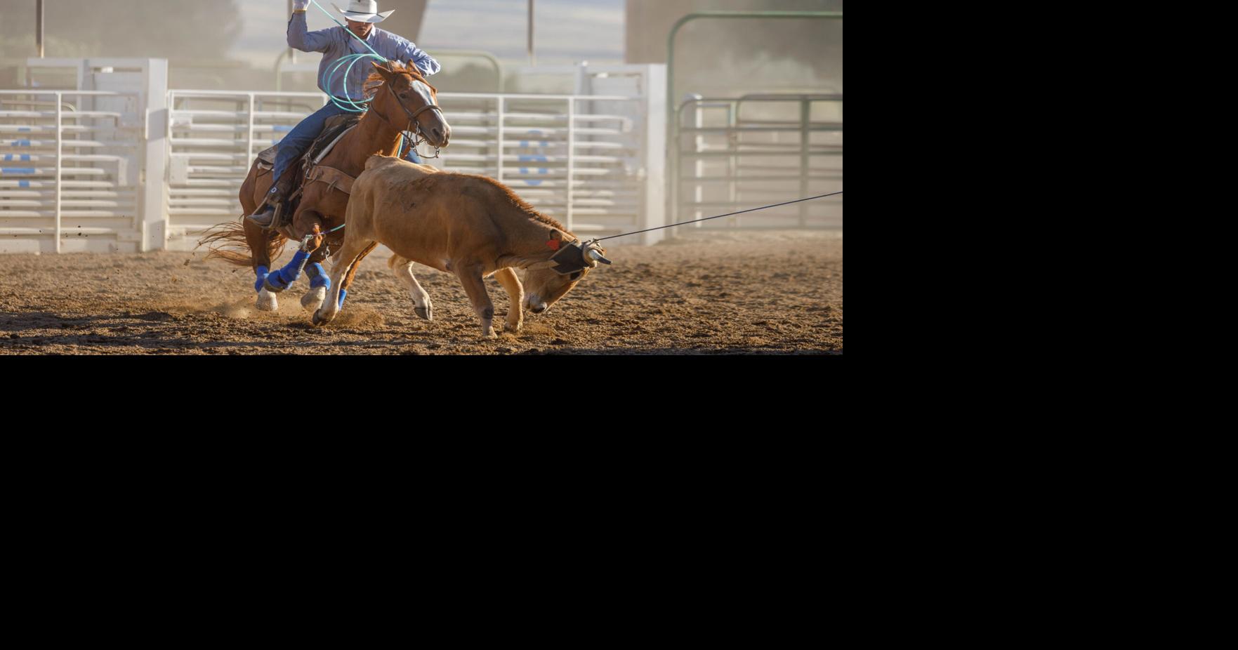 Team roping sets the tone for rodeo week | News ...