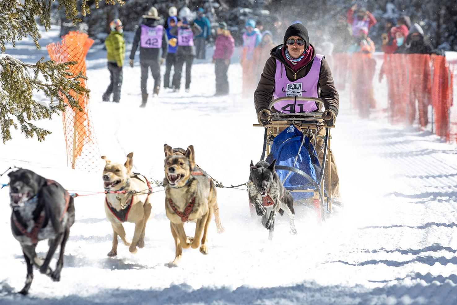 Grand Mesa dog sled races are this weekend | News ...