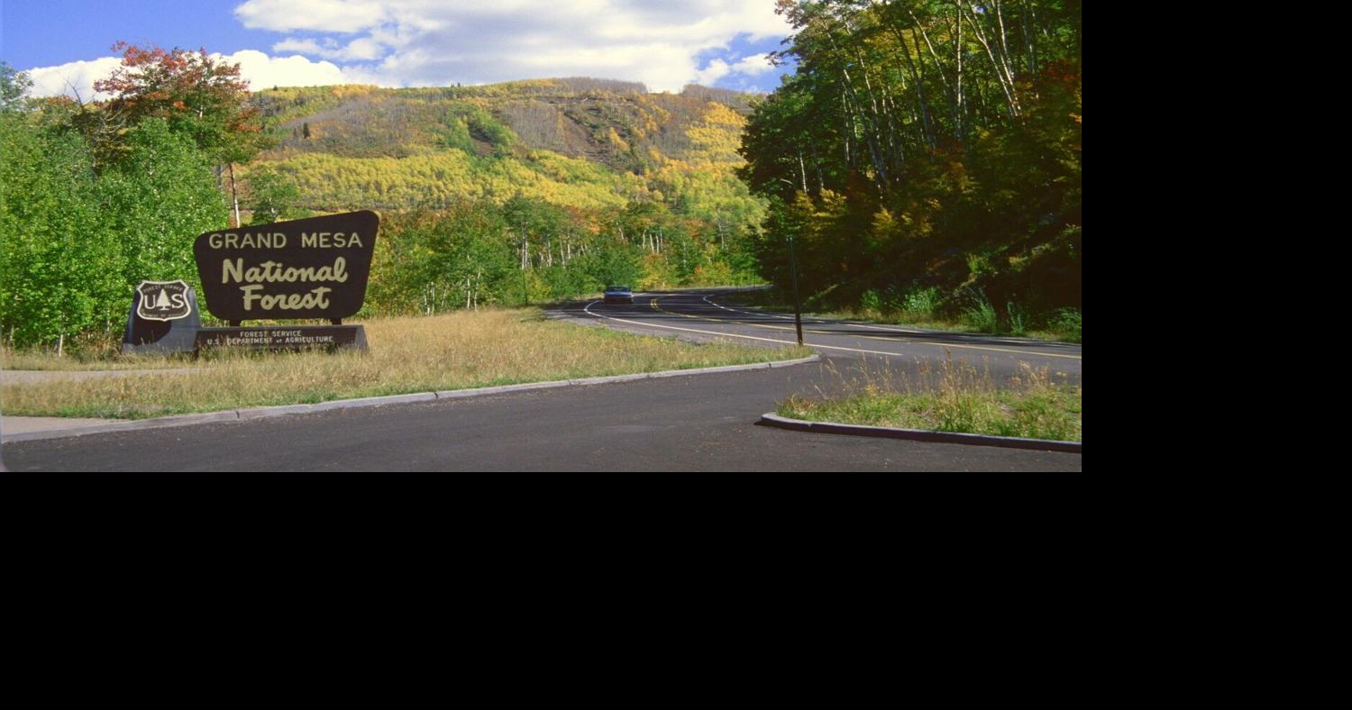 Forest Service supervisor warns of dry conditions, outlines ...