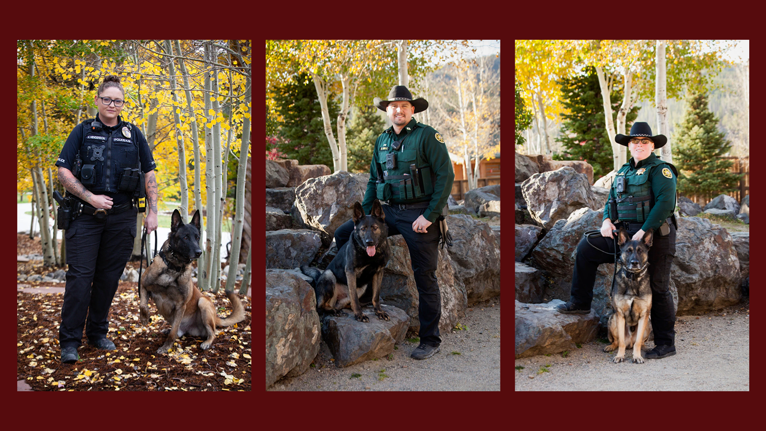 Man's best friend on a mission: Law enforcement handlers and K-9s serve ...