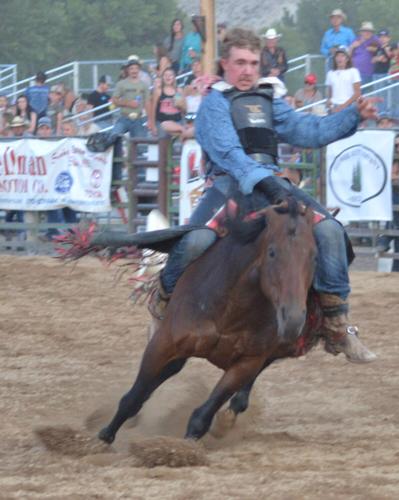 Mini Broncs | | deltacountyindependent.com