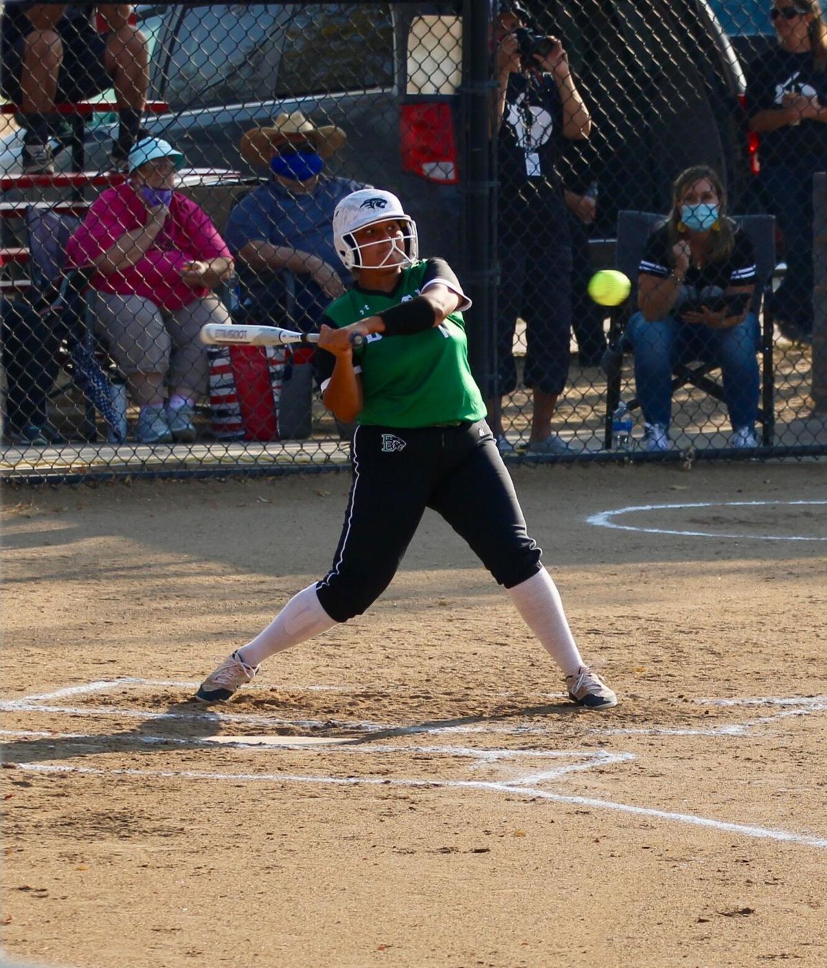 Delta softball earns WSL recognition | Sports | deltacountyindependent.com