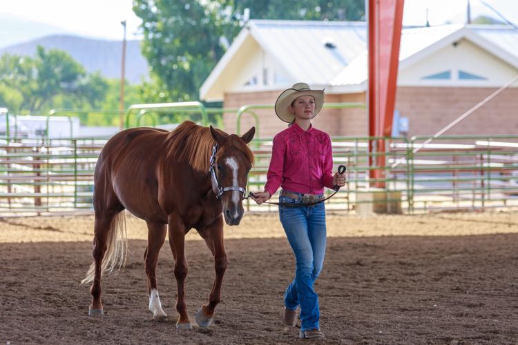 Horse show kicks off livestock exhibitions at Delta County Fair | News ...