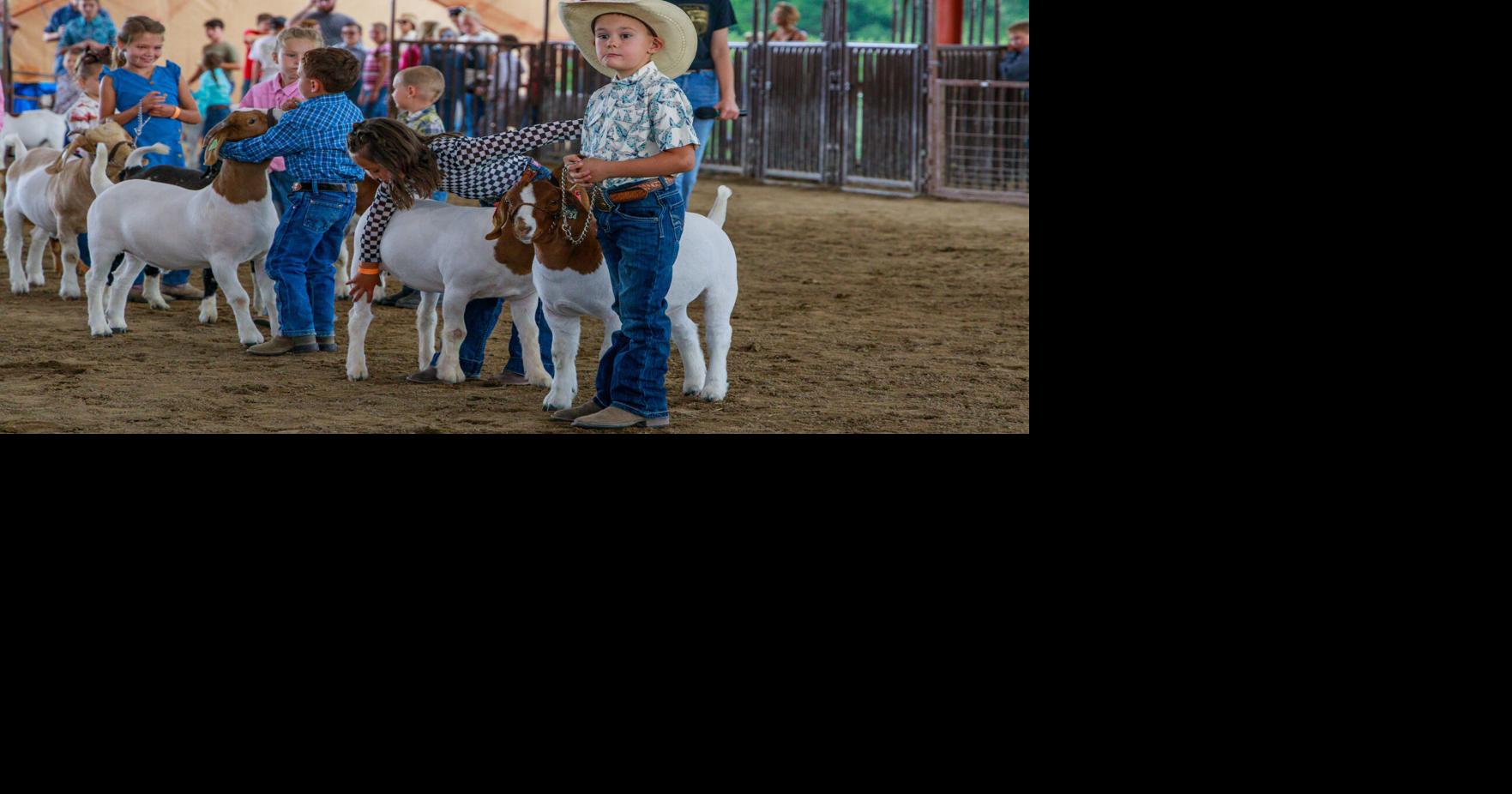 Younger generation participates in Pee Wee Showmanship | Complimentary ...