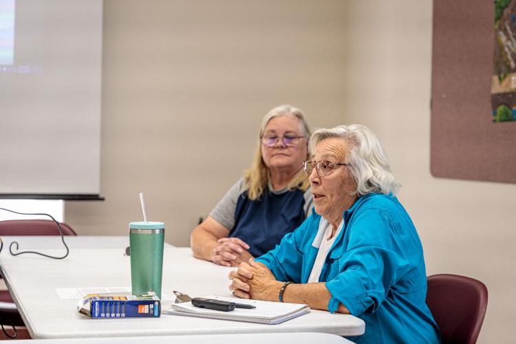 Louise Fierro censured by library board during Nov. 15 budget hearing ...