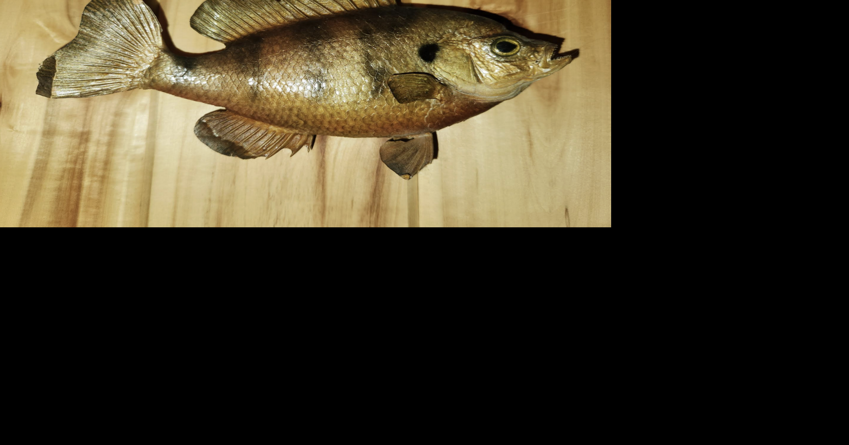 TIPS FROM THE POSSE: First fish | Outdoors | deltacountyindependent.com