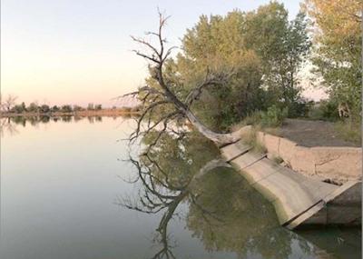 Fishing is fun grants awarded for 8 Colorado angling projects ...