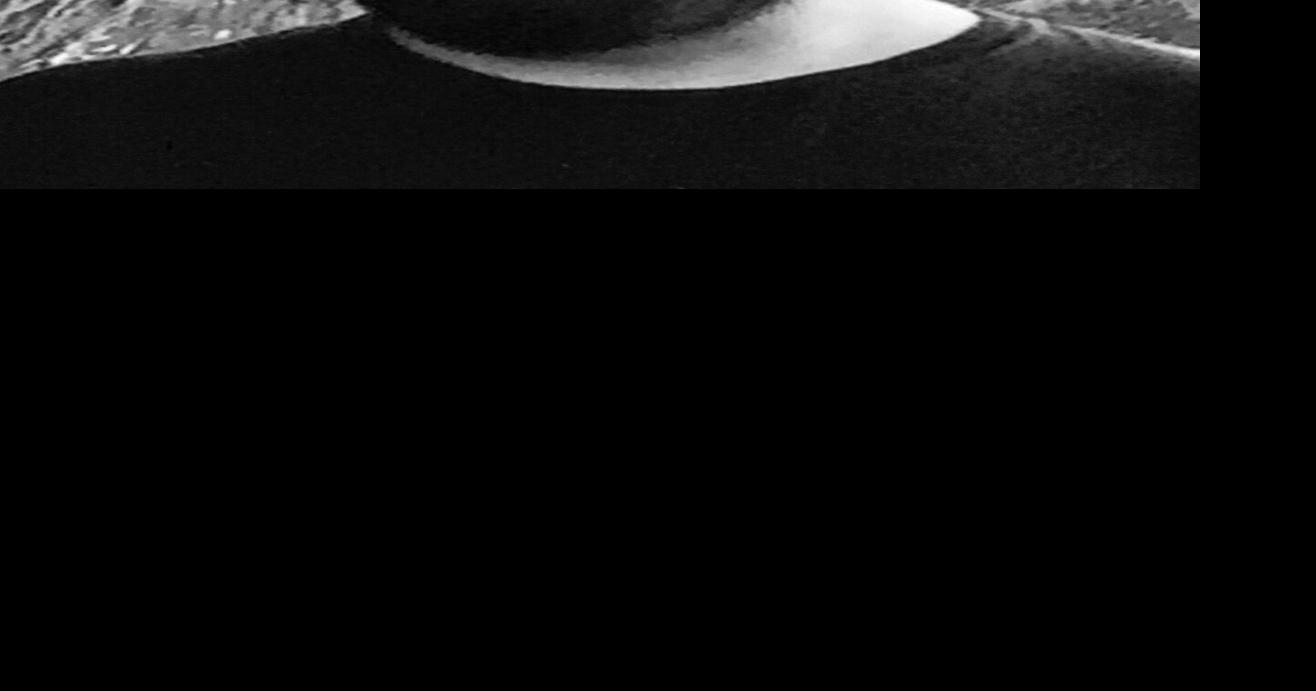 Dylan Trey Wilding | Complimentary | deltacountyindependent.com