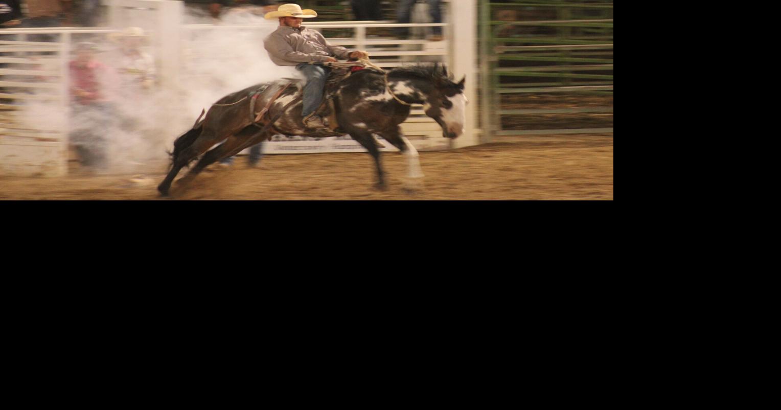 Ride 'em cowboy! Fair participants saddled up on mini-broncs and bulls ...