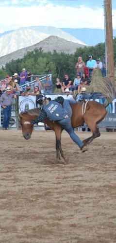Mini Broncs | | deltacountyindependent.com