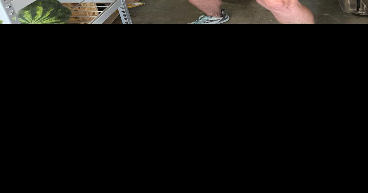 Delta Food Pantry recipients nearly doubles in a year | News ...