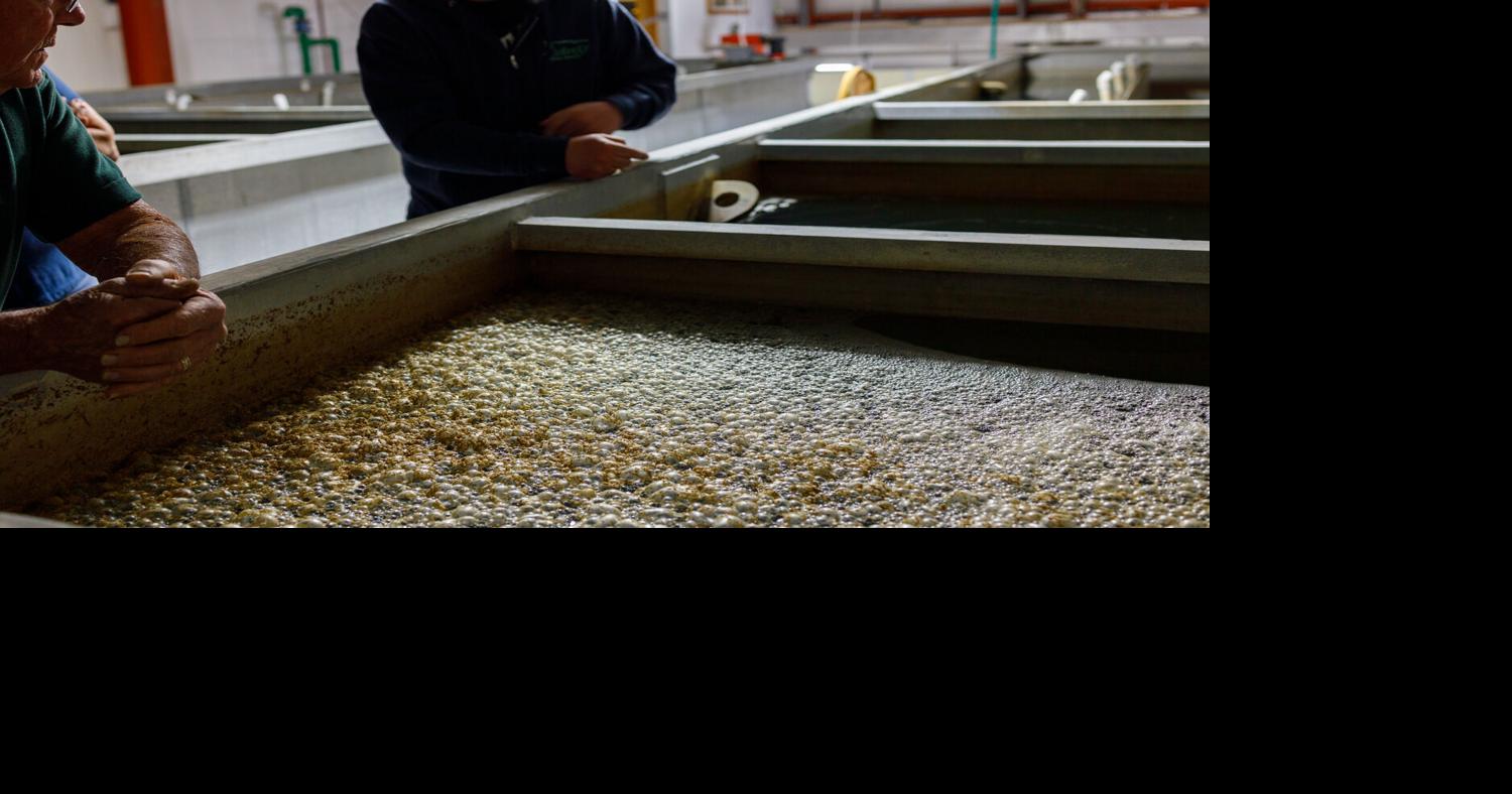 The ins and outs of water in Cedaredge | News | deltacountyindependent.com