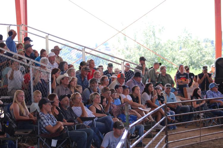 Landon Spaedt receives first and second place overall in market goat ...