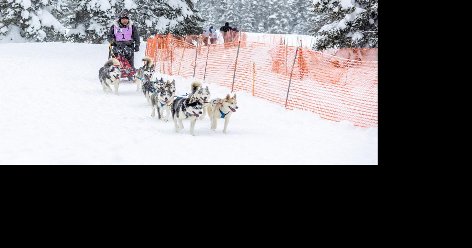 A LOOK AHEAD: Dog sled races: Grand Mesa Summit Challenge | News ...