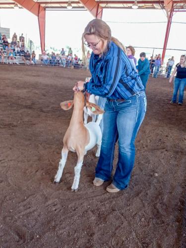 Goat Show | | deltacountyindependent.com