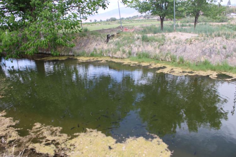 Retiree prepares to offer recreational weekend events on his property ...