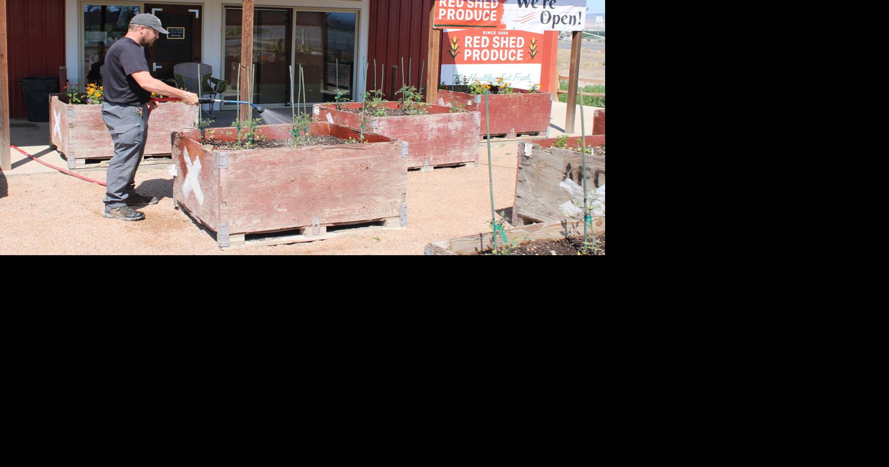 Red Shed reopens in Delta, adds satellite location in Cedaredge | News ...