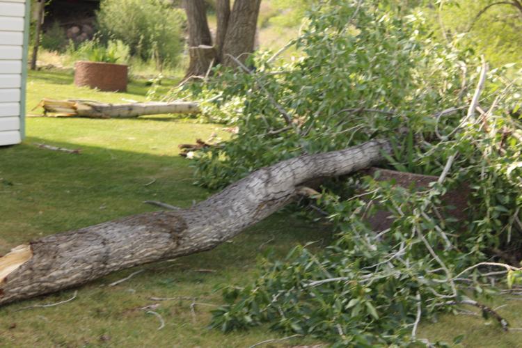 Strong microburst hits Paonia River Park just before WSCC festival ...