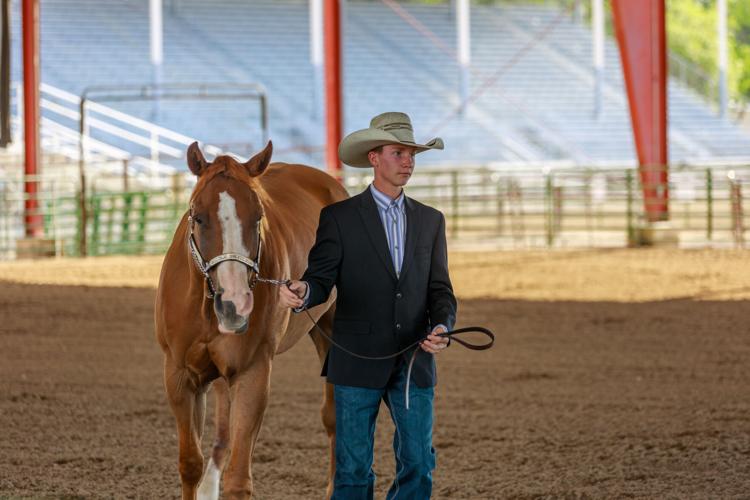 Horse show kicks off livestock exhibitions at Delta County Fair | News ...