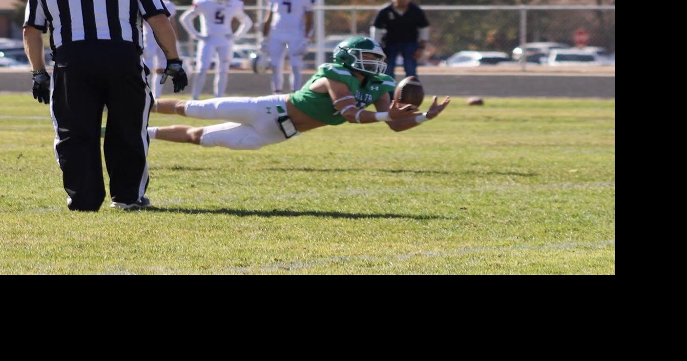 Panthers football takes victory over Alamosa in playoffs | Sports ...