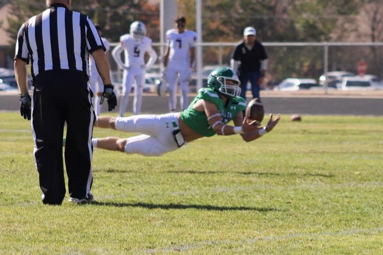 Panthers football takes victory over Alamosa in playoffs | Sports ...