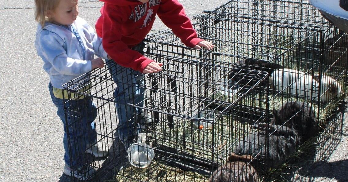 A LOOK AHEAD: Bird Swap at Sissons Feed and Seed | Community ...