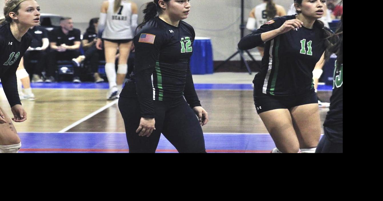 Panthers volleyball eliminated in state tournament at No. 4 | Sports ...