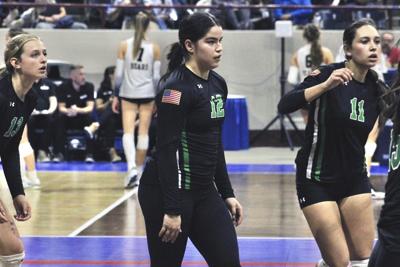 Panthers volleyball eliminated in state tournament at No. 4 | Sports ...
