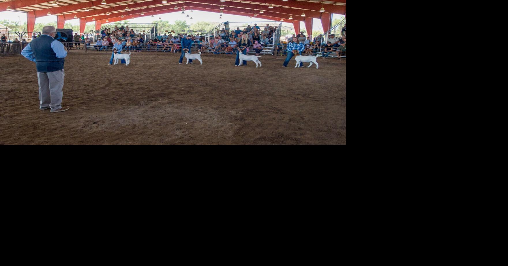 Kids and kids: Goat show champions floor it at Delta County Fair | News ...