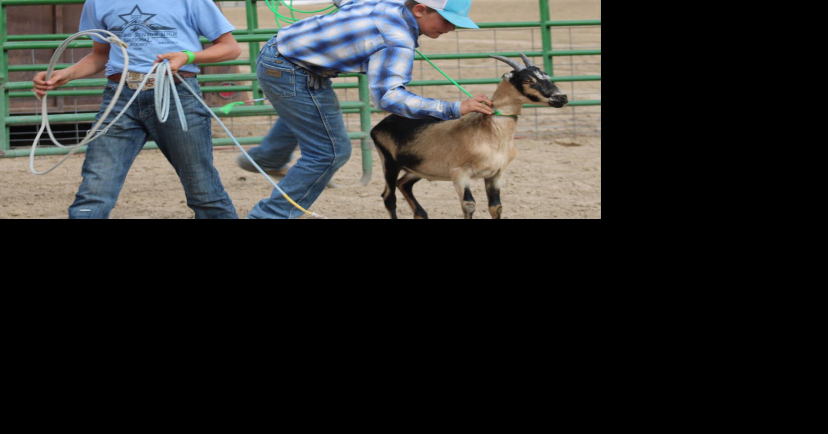 Goat roping at the fair provides fun for all ages ...