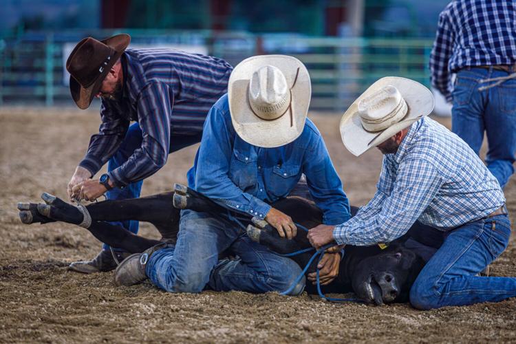 Fair week ends with series of rodeo events | News ...