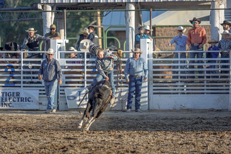 Fair week ends with series of rodeo events | News ...