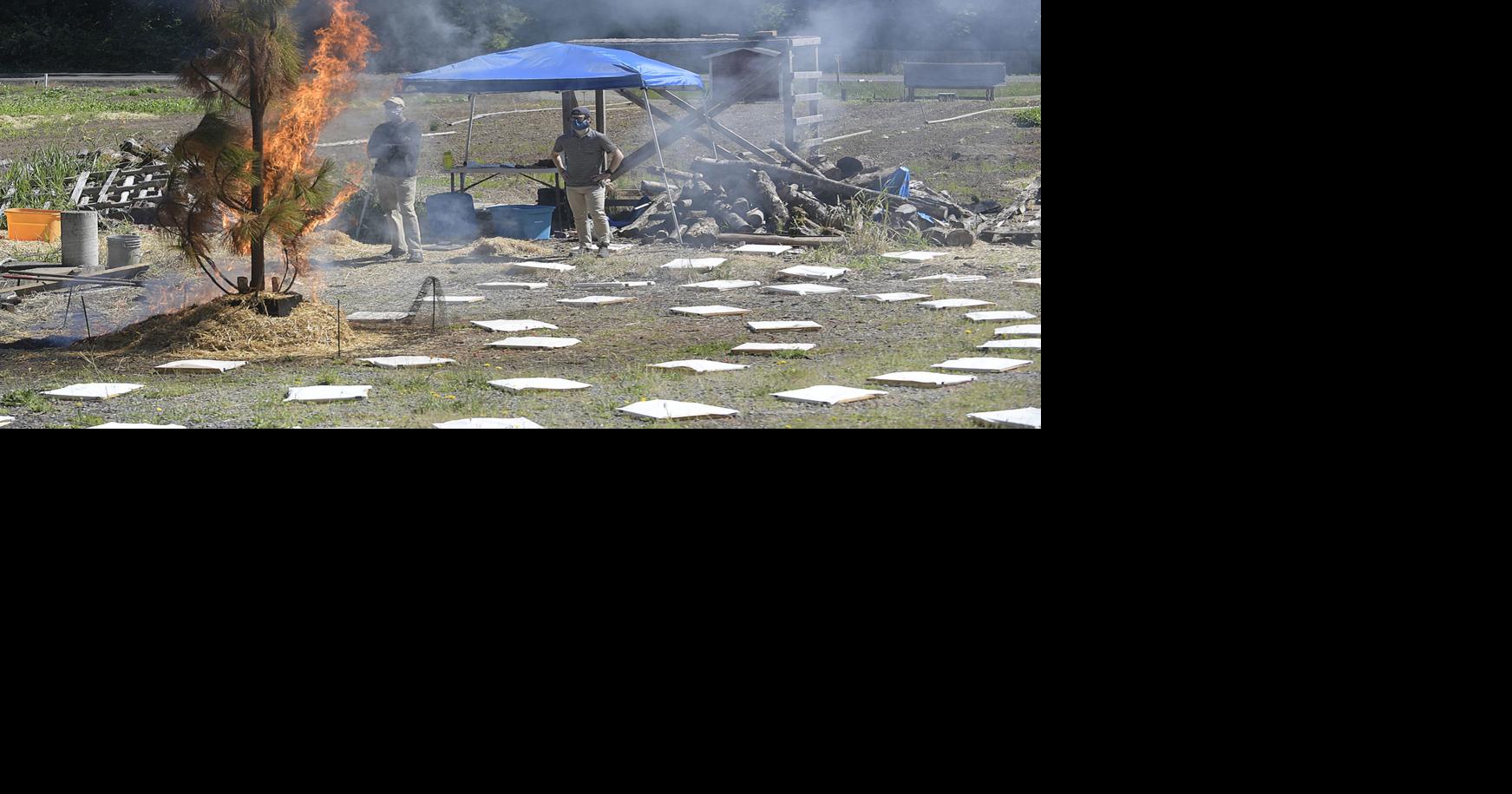 Torching trees to save lives