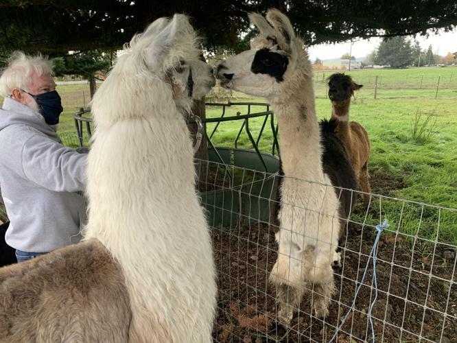 "The best unpaid job I ever had": Meet Larry McCool, Caesar the No ...