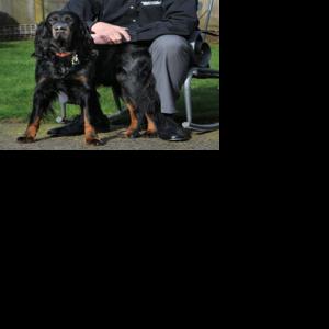 Albany dog makes the cover — of treats