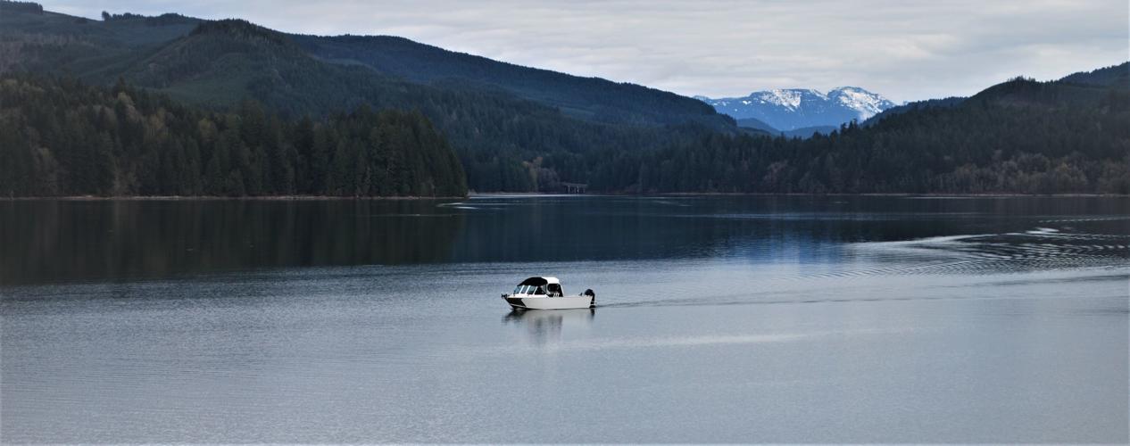 Dry year, but reservoir water levels are up