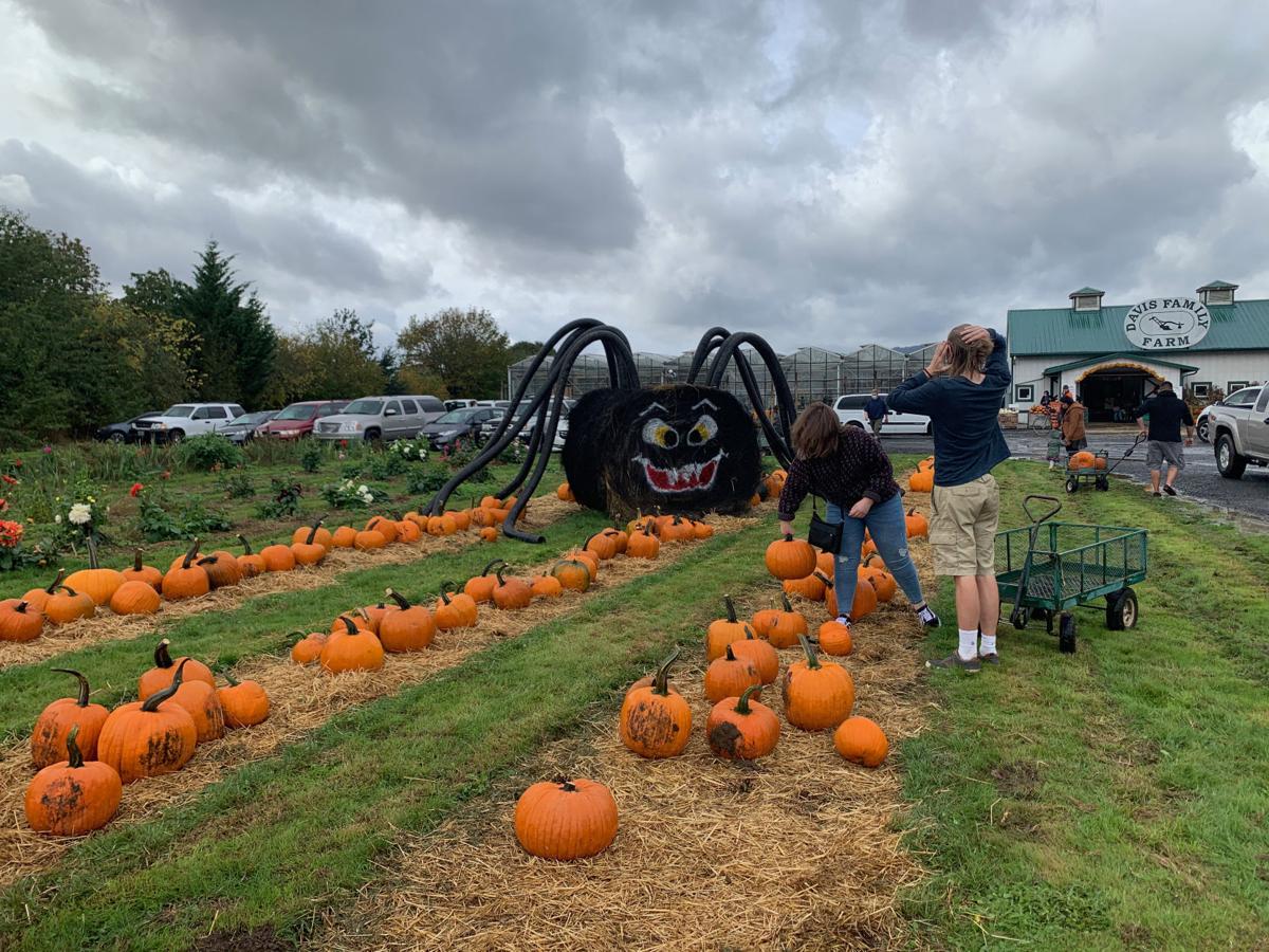 Watch this space for Halloween, harvest events in the mid-Willamette
