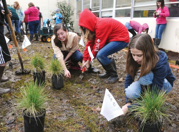 Calapooia students use native plants to reclaim some soggy ground ...