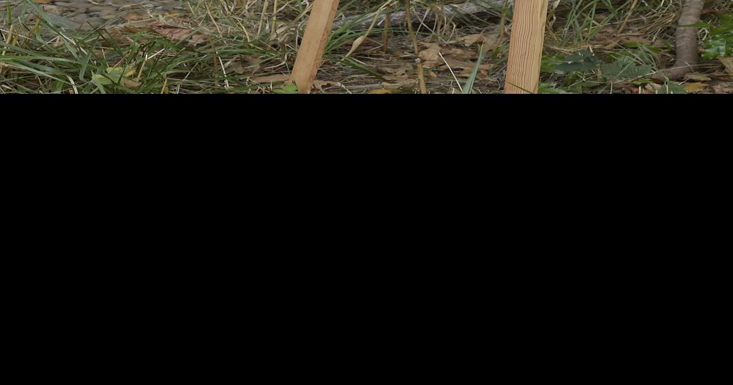 Orange dog poop on area trails draws attention to public health concern