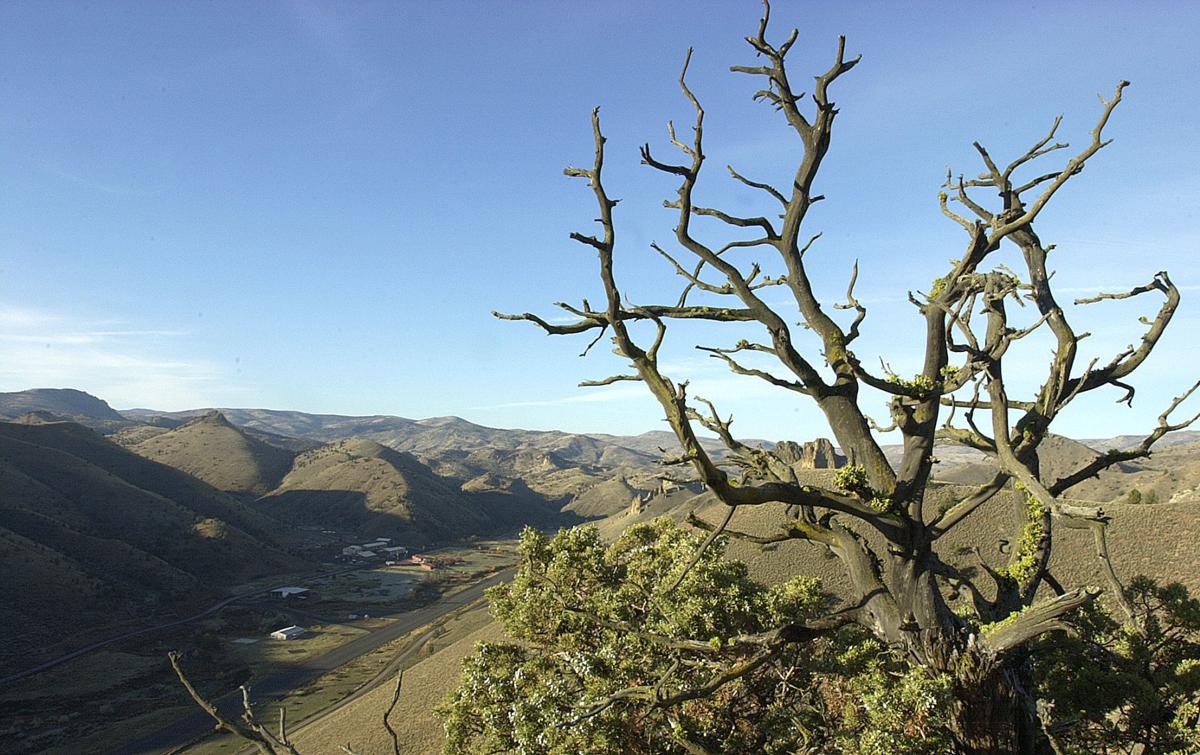 Beyond the ranch: Rajneesh revisited | Local | democratherald.com