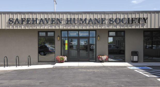 SafeHaven moves into new home