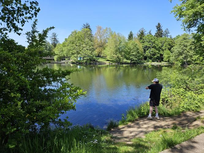 Waverly Lake to see vegetation cleanup