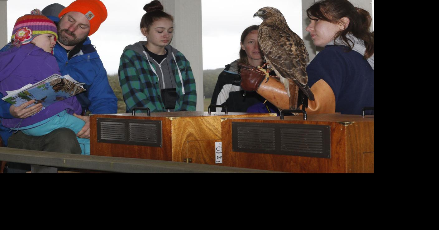 Families find fun at Finley Field Day