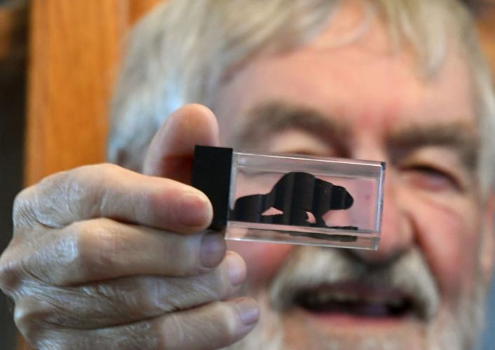 Sweet Home woodworker wows with 'mini-lusions'