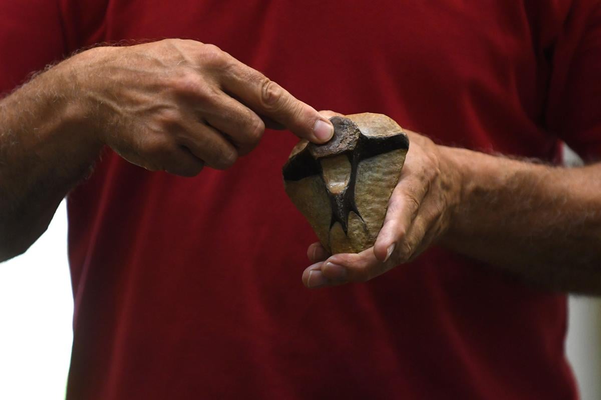 Gallery: Fossil Guy | Photo Gallery | democratherald.com