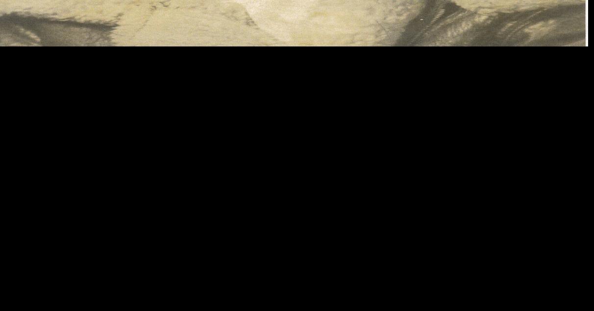 Theodore William Waldron