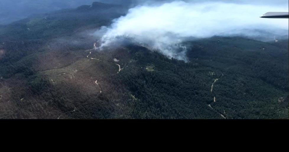 Crews extinguish spot fire stemming from Bruler Fire