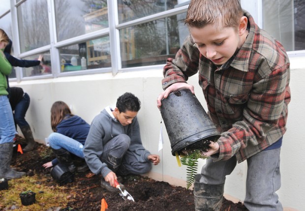Calapooia students use native plants to reclaim some soggy ground ...