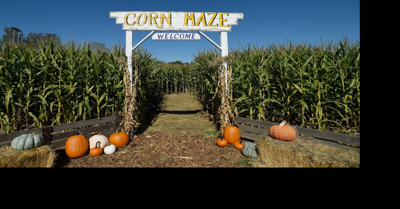 Harvest and Halloween Events (Oct. 31)